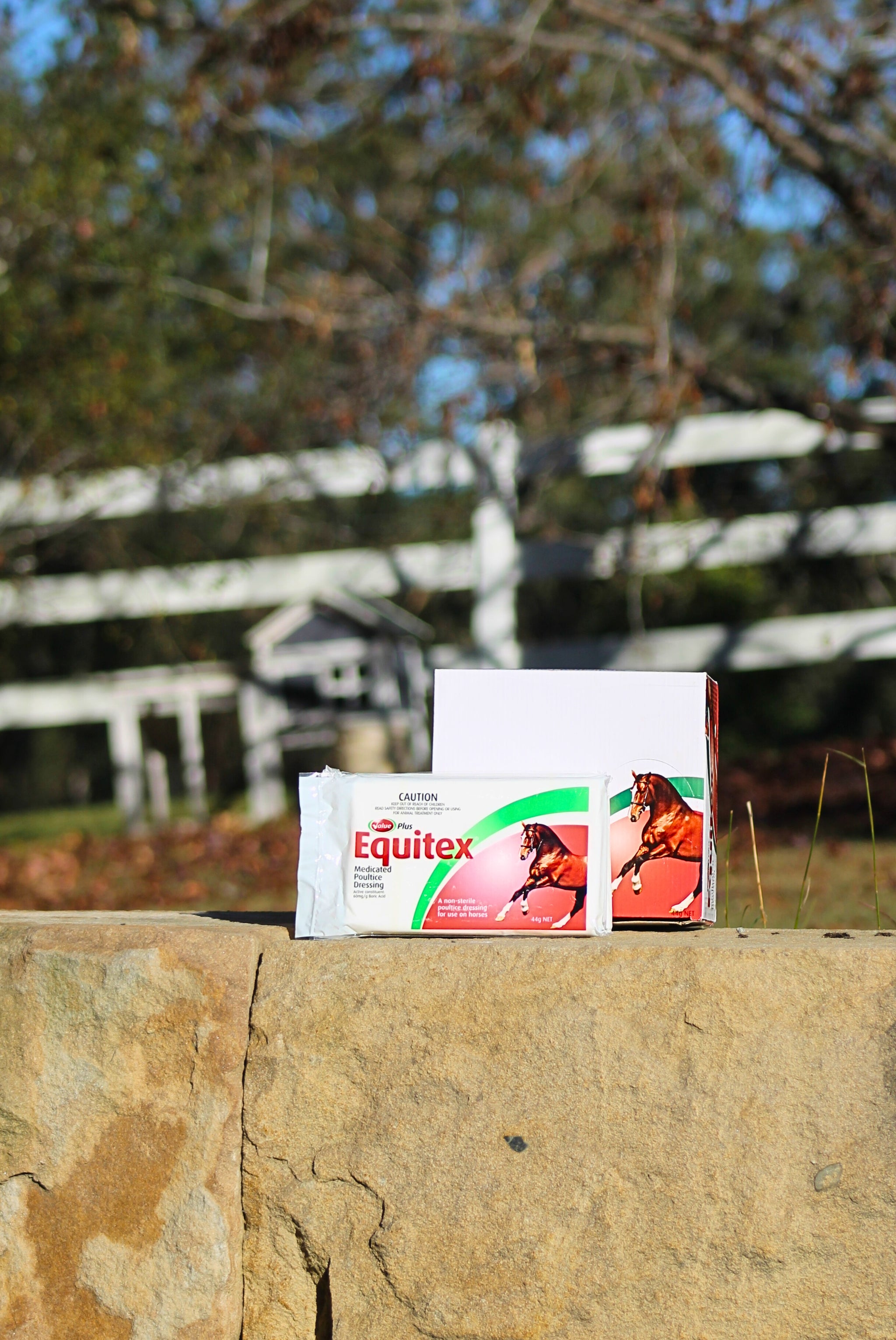 Equitex Medicated Poultice Dressing – valueplus.au