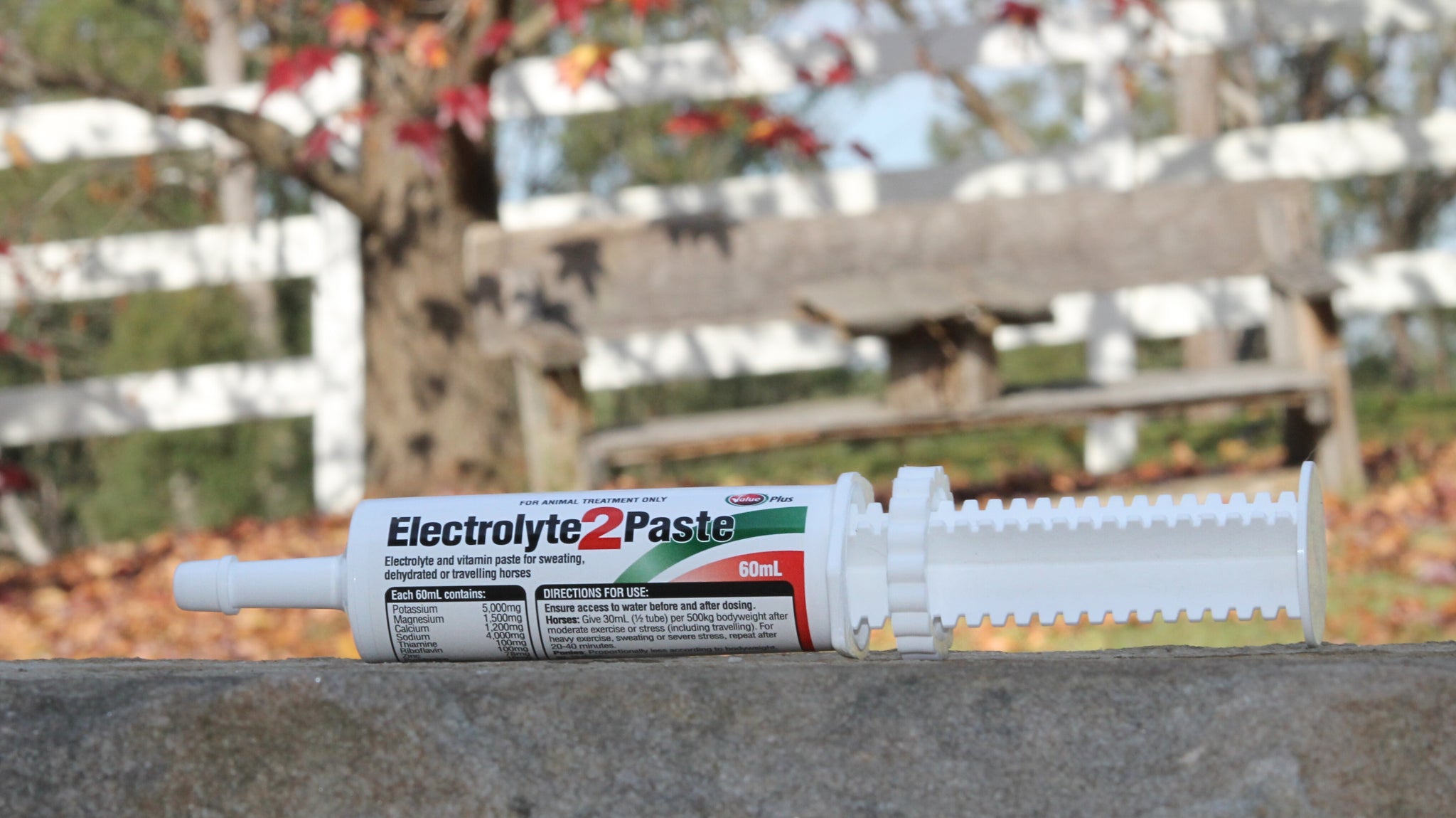 Electrolyte 2 Paste for Horses – valueplus.au