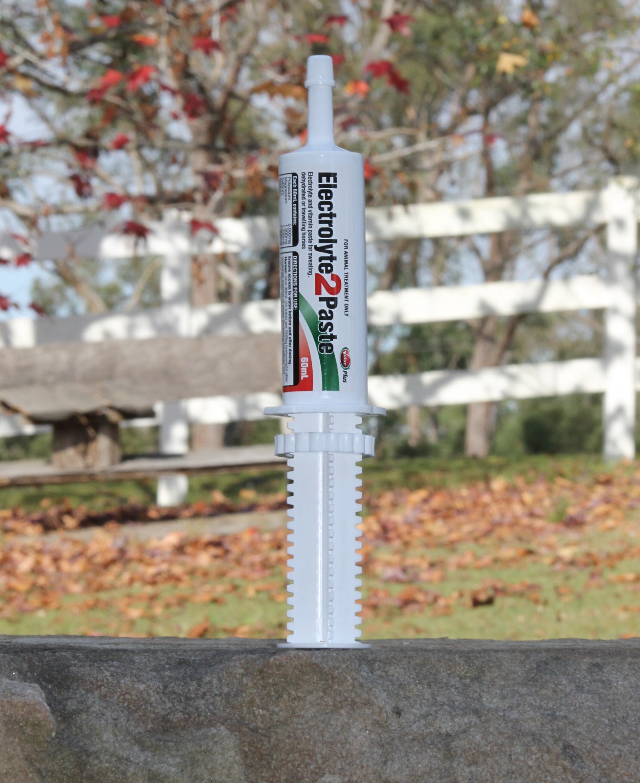 Electrolyte 2 Paste for Horses – valueplus.au