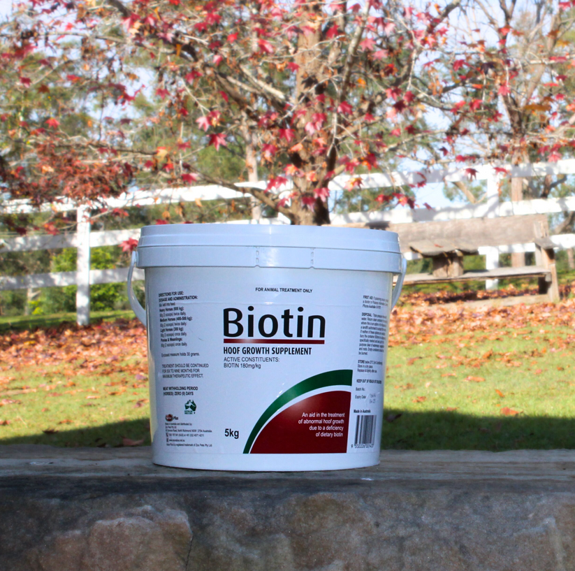 Biotin – valueplus.au