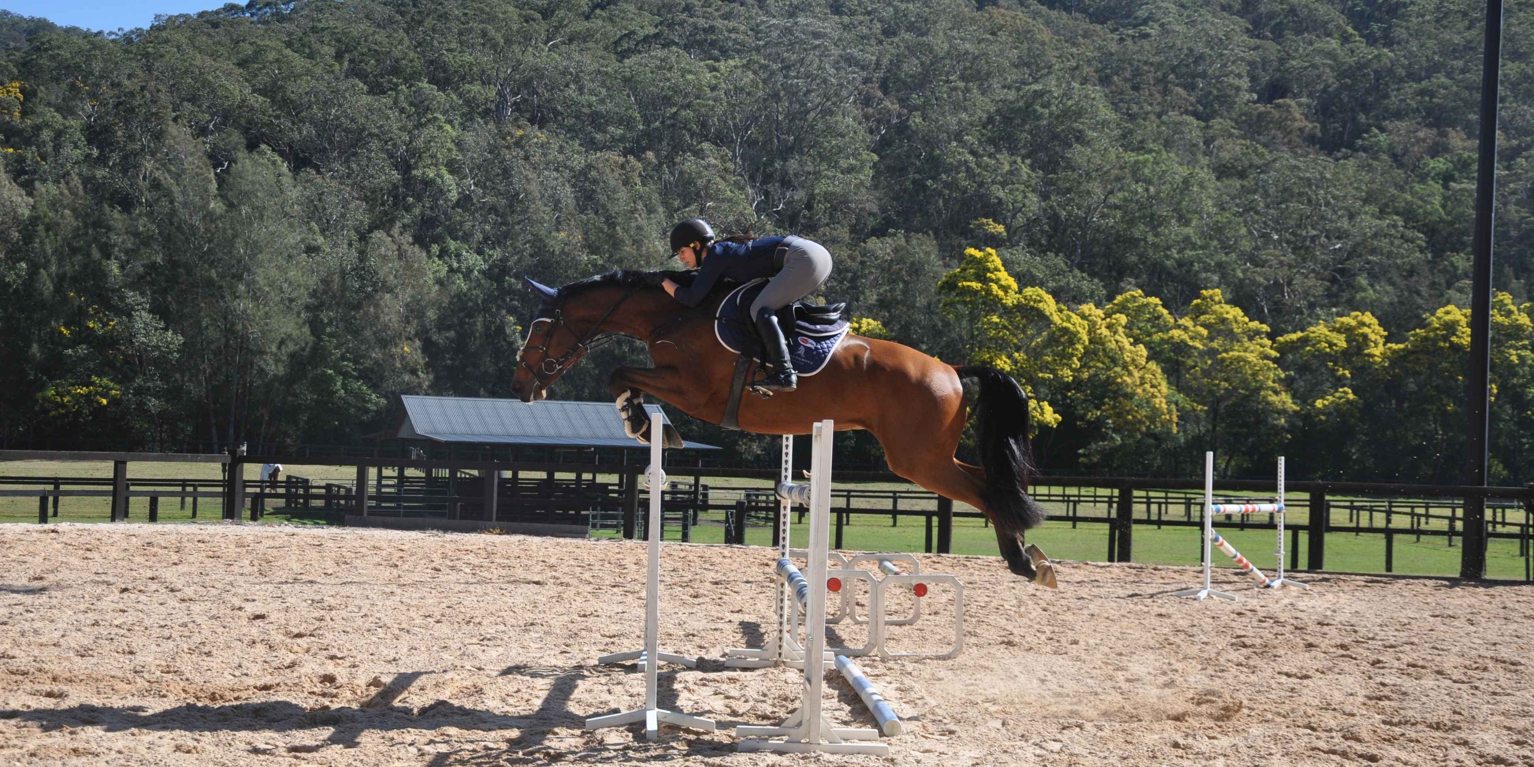 Value Plus Animal Health Care Products - First Aid - Supplements – valueplus.au