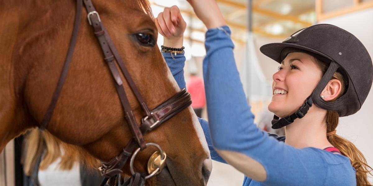 Equine – valueplus.au