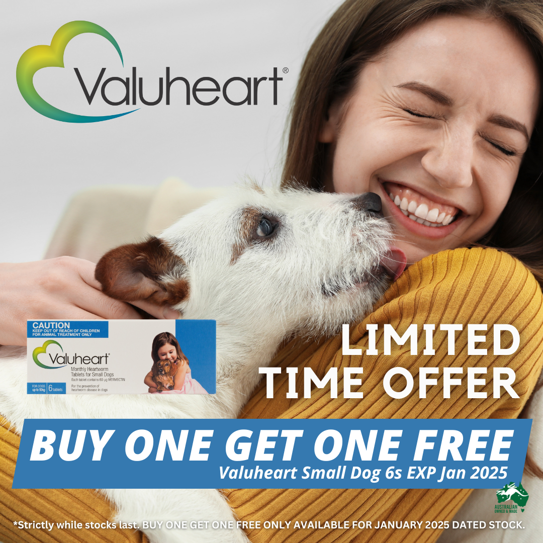 Valuheart Monthly Heartworm Tablets for Dogs – valueplus.au