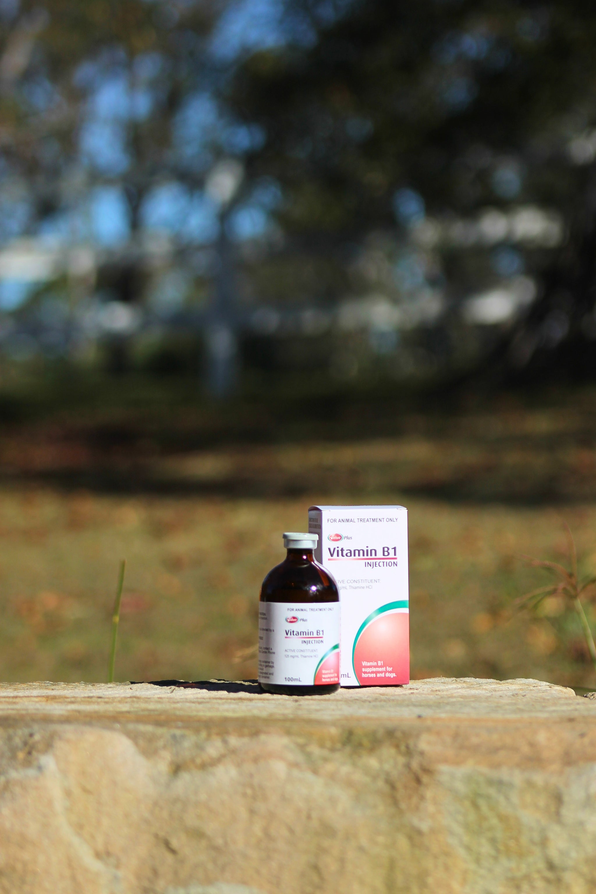 Vitamin B1 Injection – valueplus.au