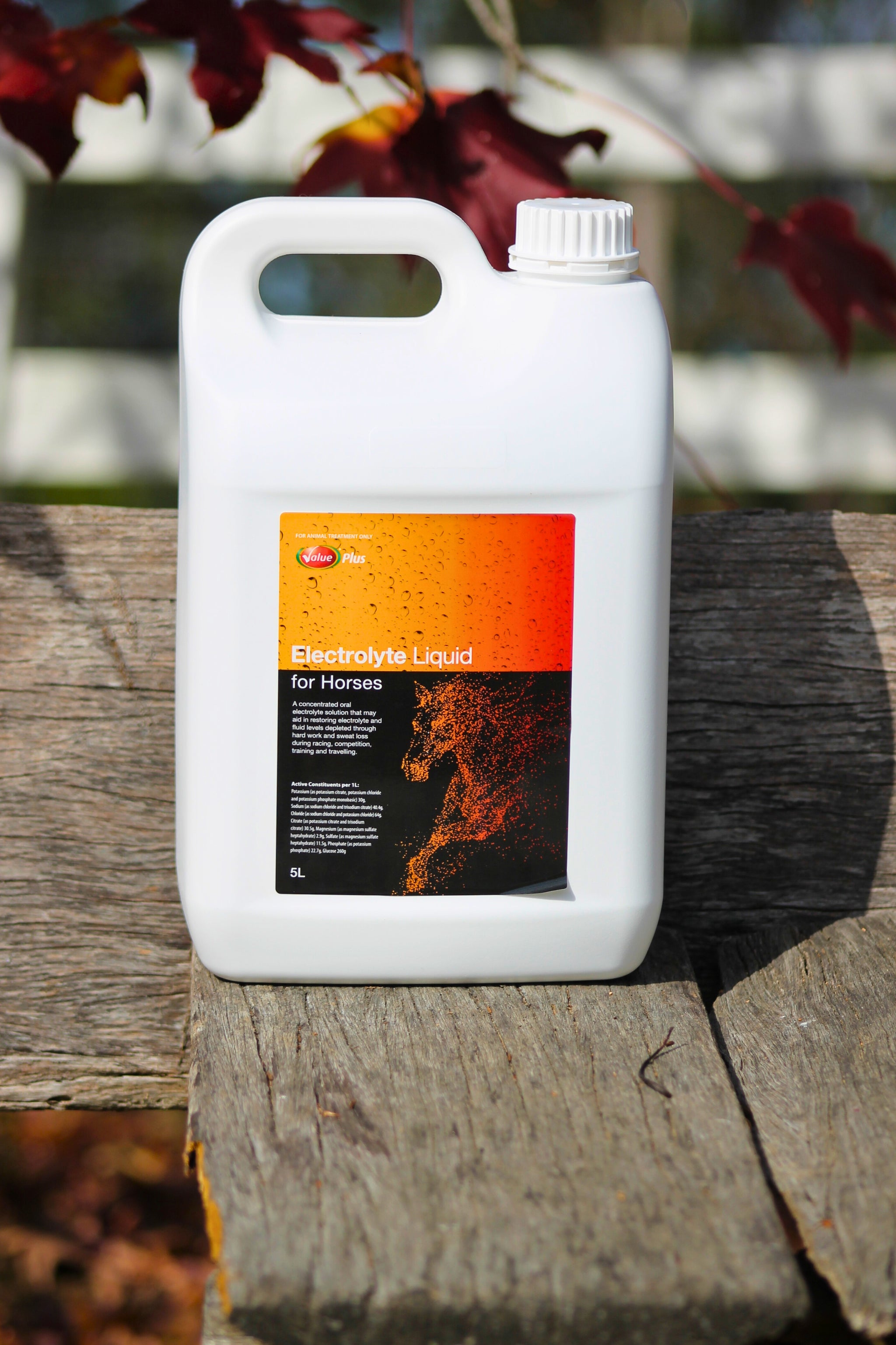 Electrolyte Liquid for Horses – valueplus.au
